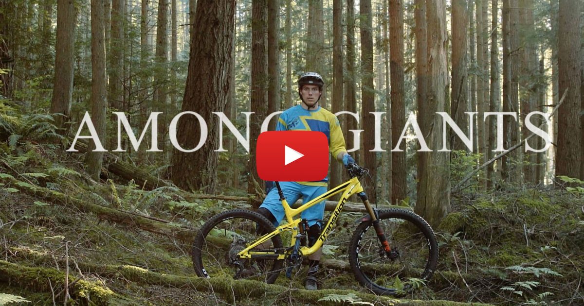 Alex Mcandrew - Among Giants ⋆ Vojo