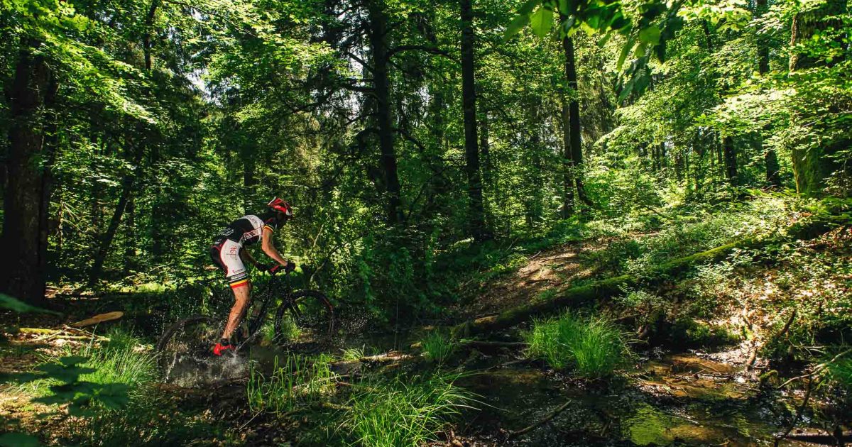 Road-Book | Au coeur de la forêt d'Anlier et du parc naturel de la ...