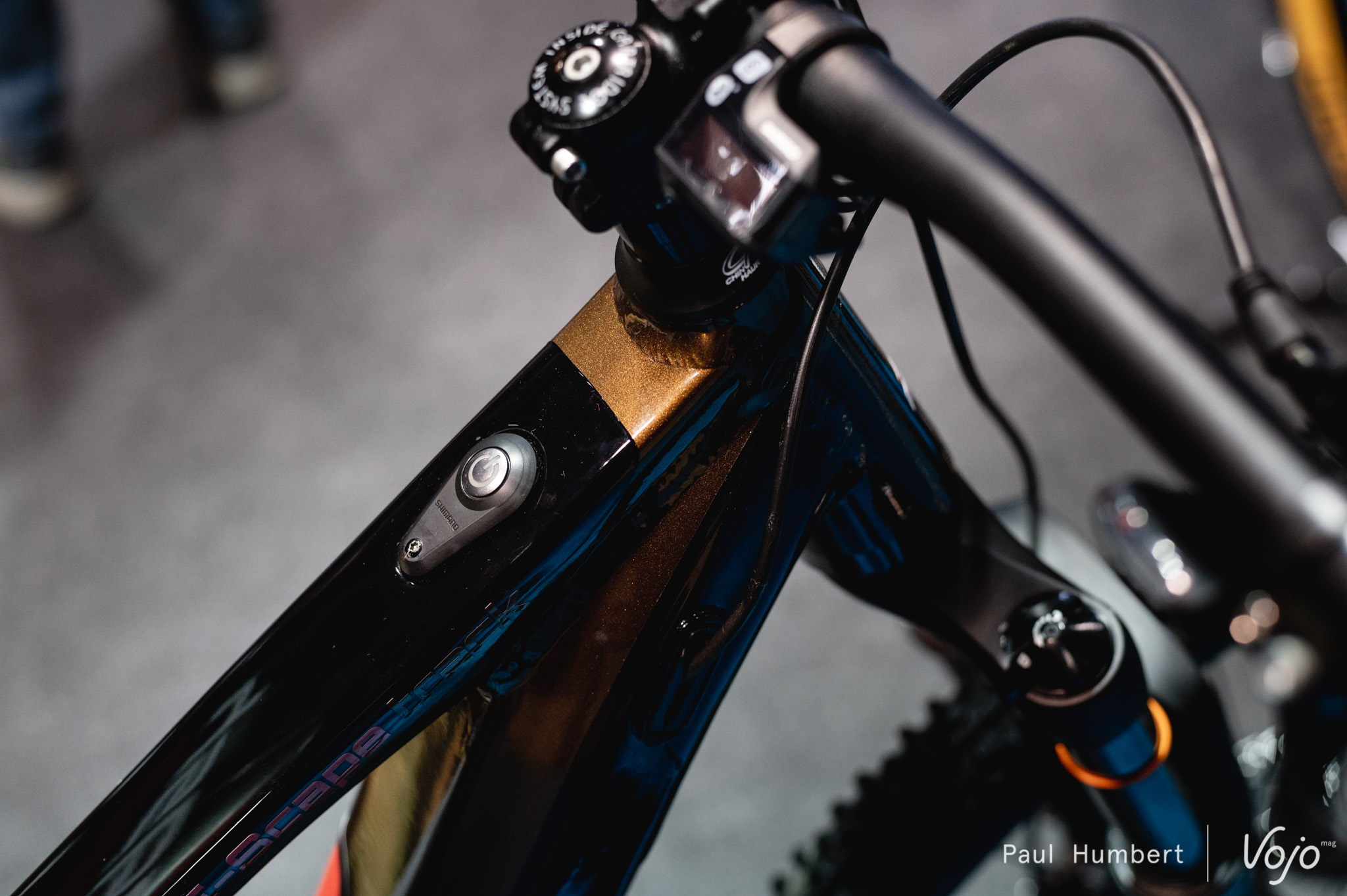 Mash Cycles : une nouvelle marque VTT dans le paysage français ⋆ Vojo