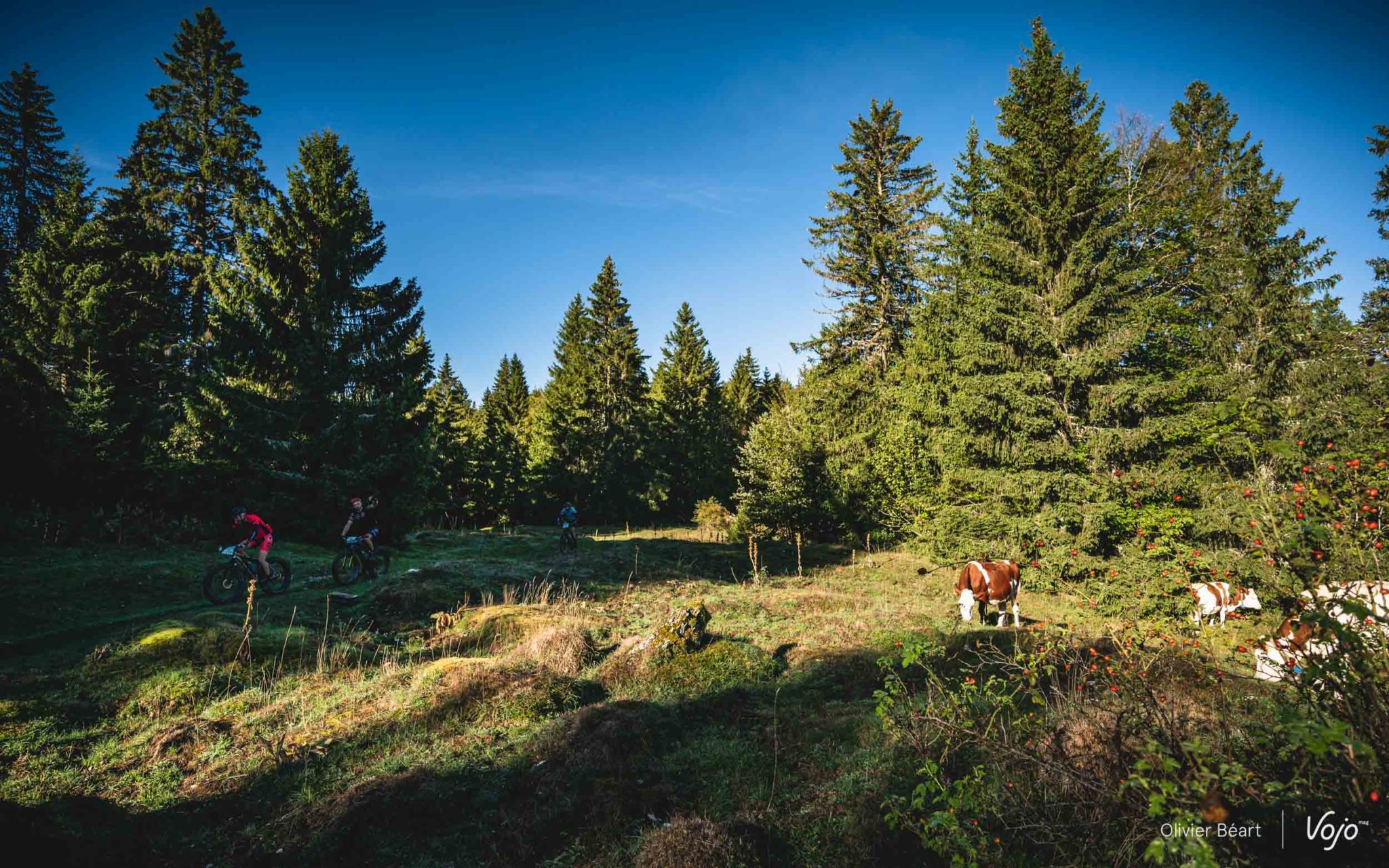 La Forestière 2022 : l'essence du VTT dans les montagnes de l'Ain et du ...