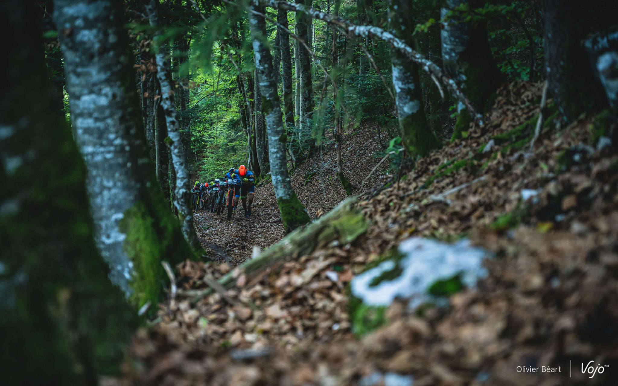 La Forestière 2022 : l'essence du VTT dans les montagnes de l'Ain et du ...