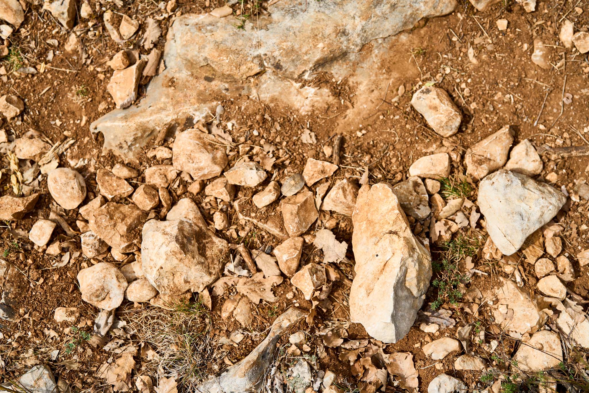Découverte | Du calcaire aux ocres, itinérance au coeur de la Provence ...