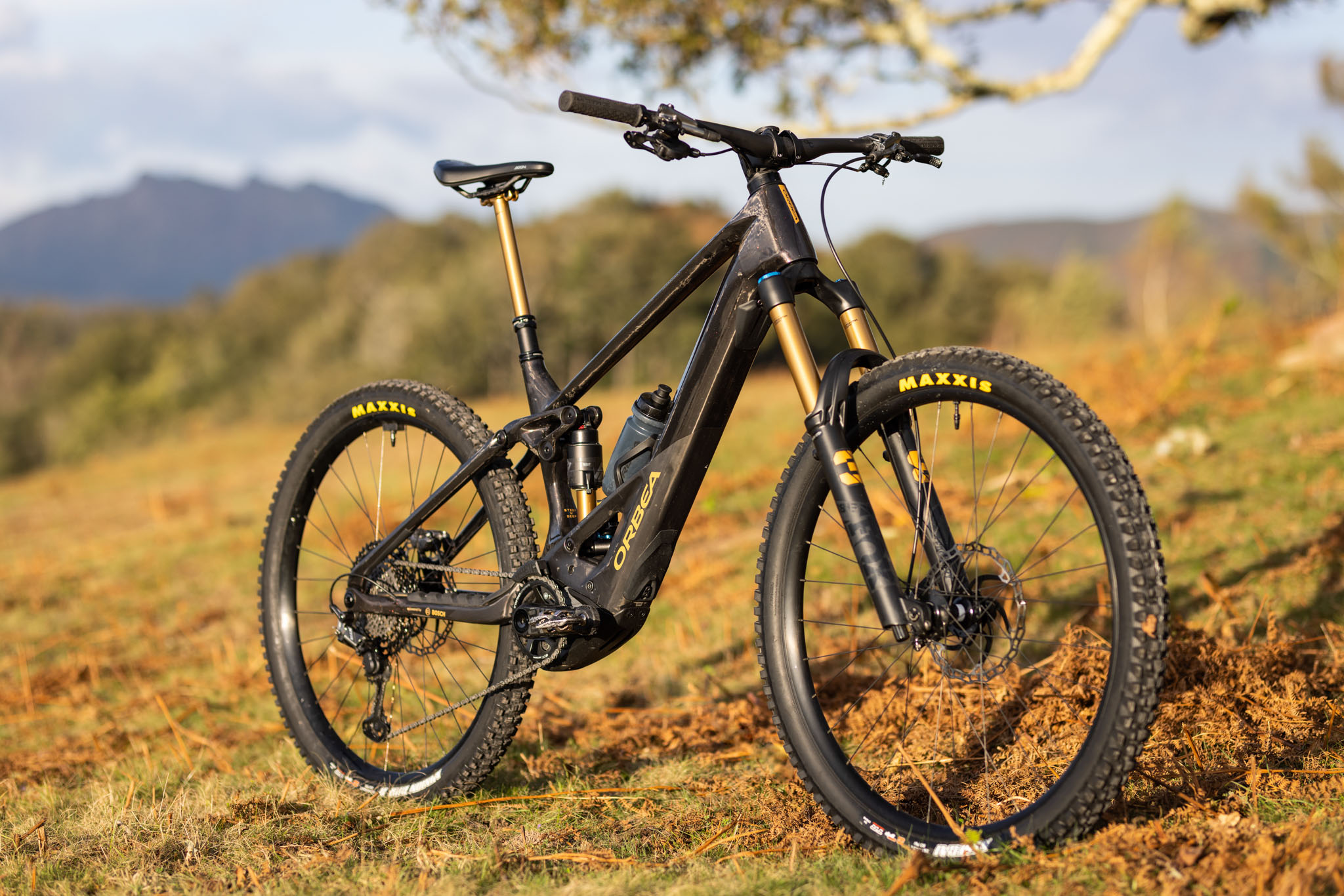 Prise en main | Orbea Wild 2023 : les griffes sont sorties - Vojo Magazine