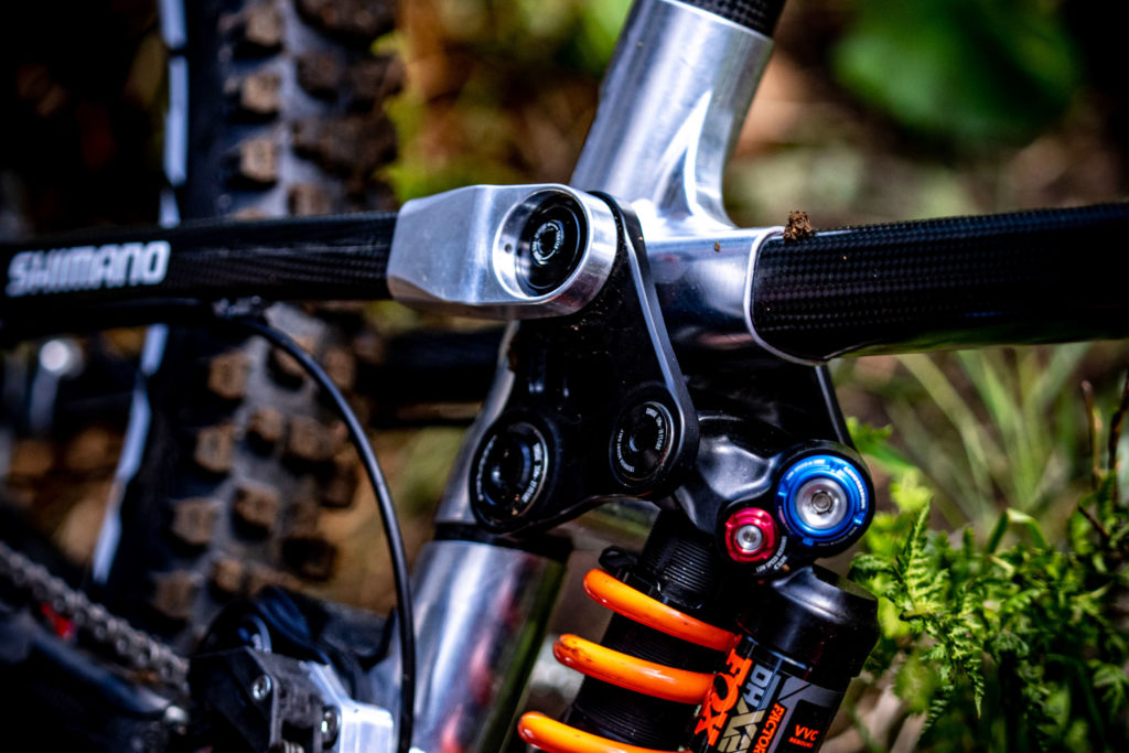 Spyshot | Pivot et son prototype DH à deux chaînes ⋆ Vojo