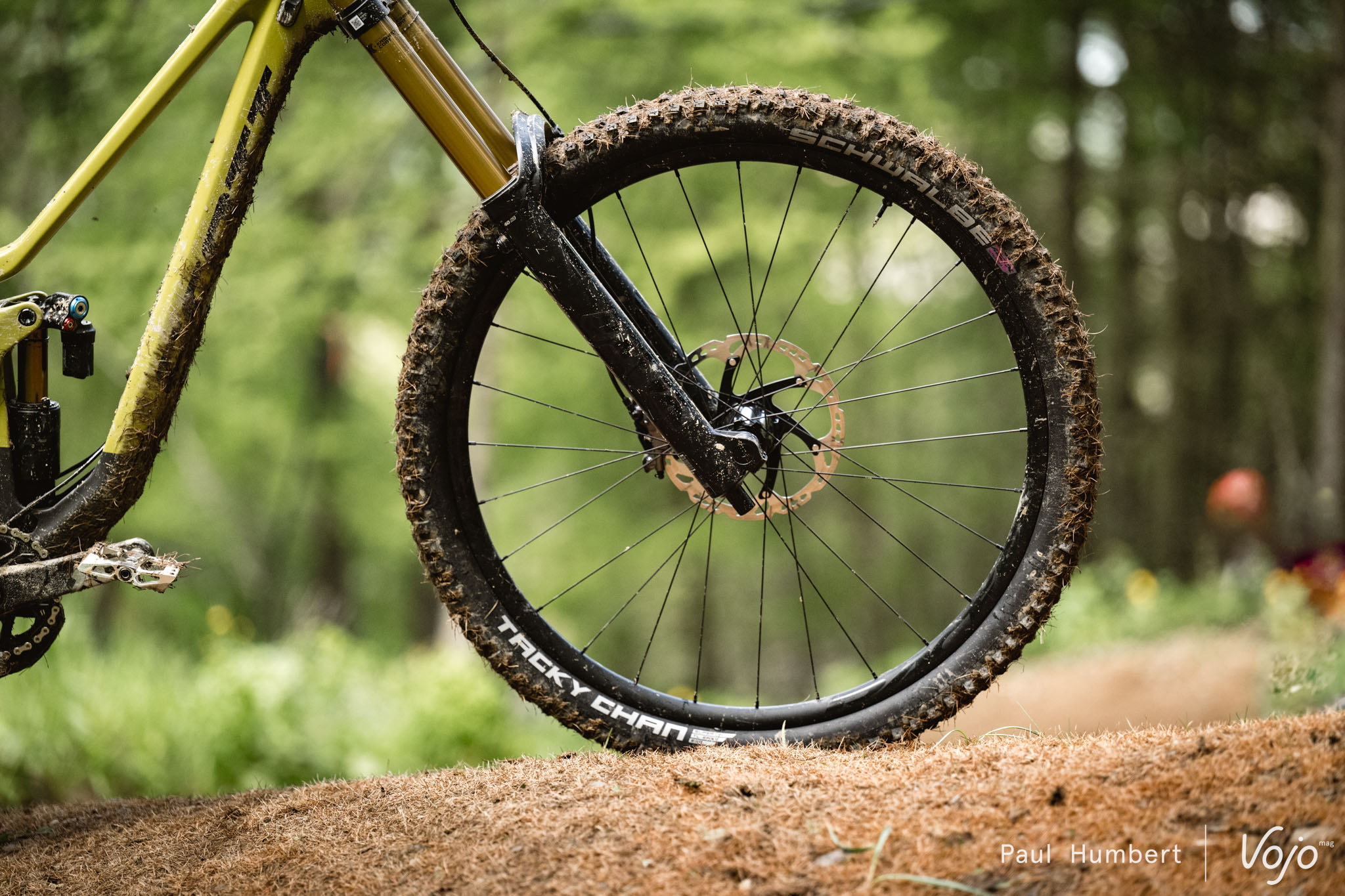 Test nouveauté | Schwalbe Tacky Chan : le chaînon manquant - Vojo Magazine