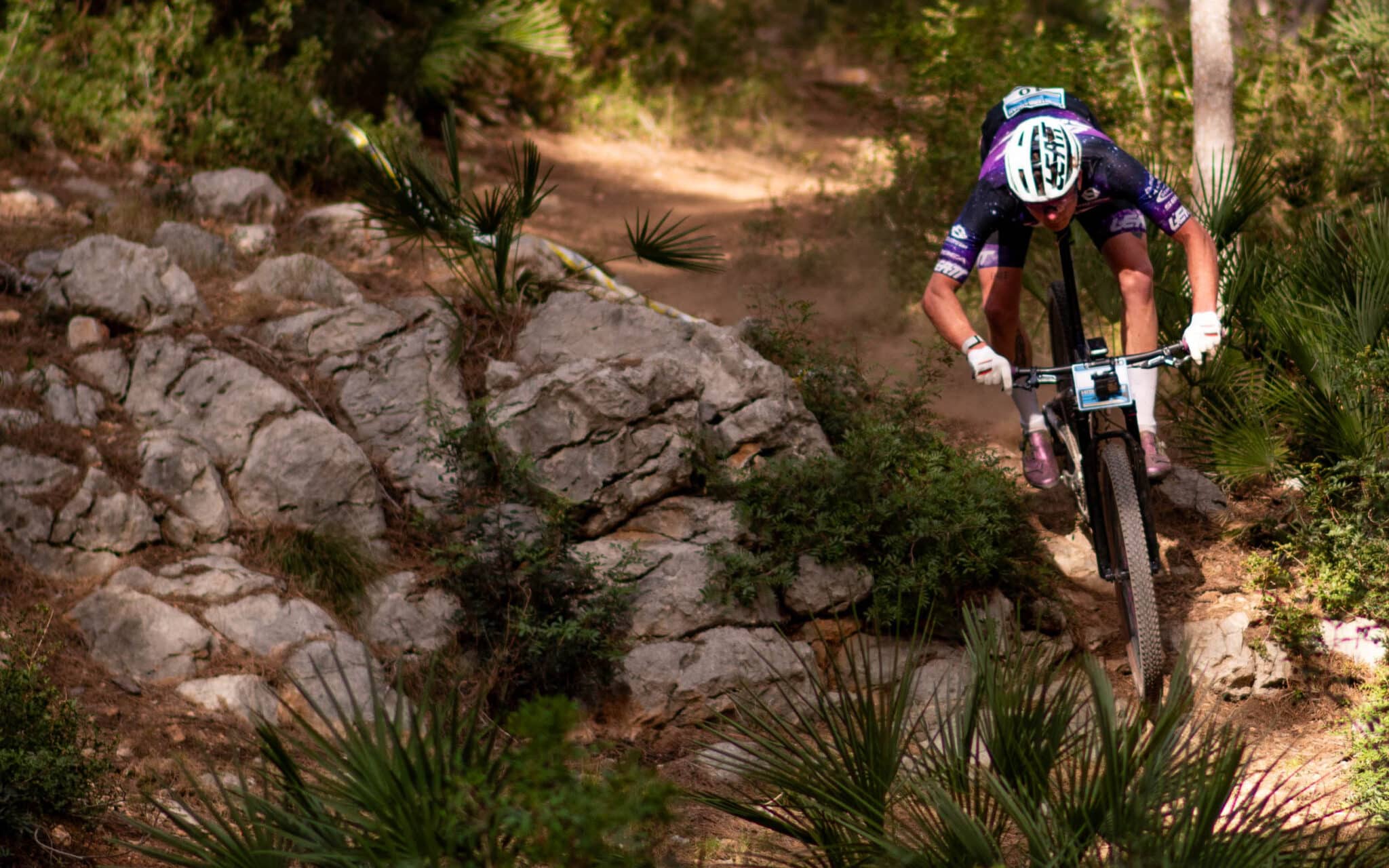 Mediterranean Epic 2024 : la victoire finale pour Wout Alleman et Rosa ...