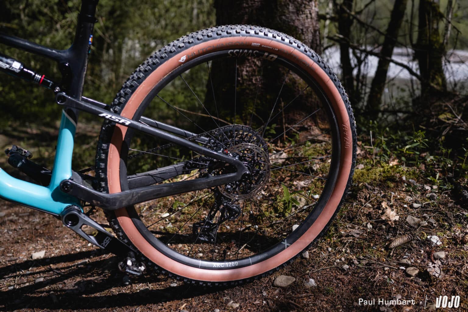 Test nouveauté | Hutchinson Python 3 : le retour d’une légende ⋆ Vojo