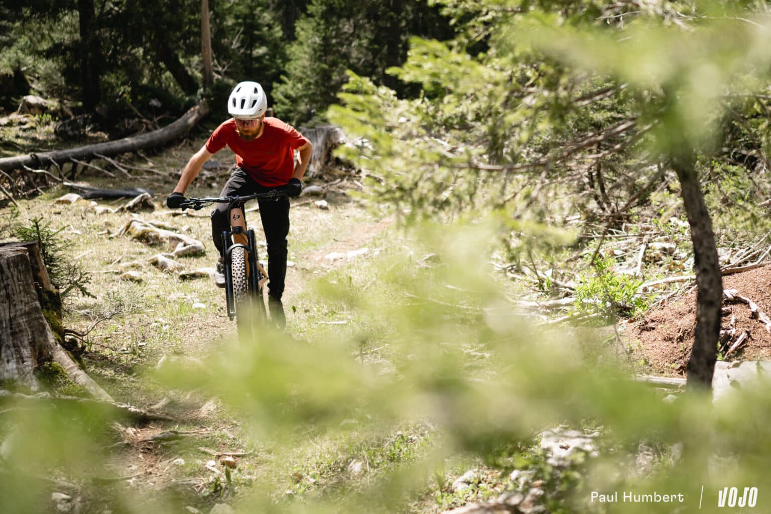 Test nouveauté | Lapierre Zesty CF 7.9 : un bon fond ⋆ Vojo