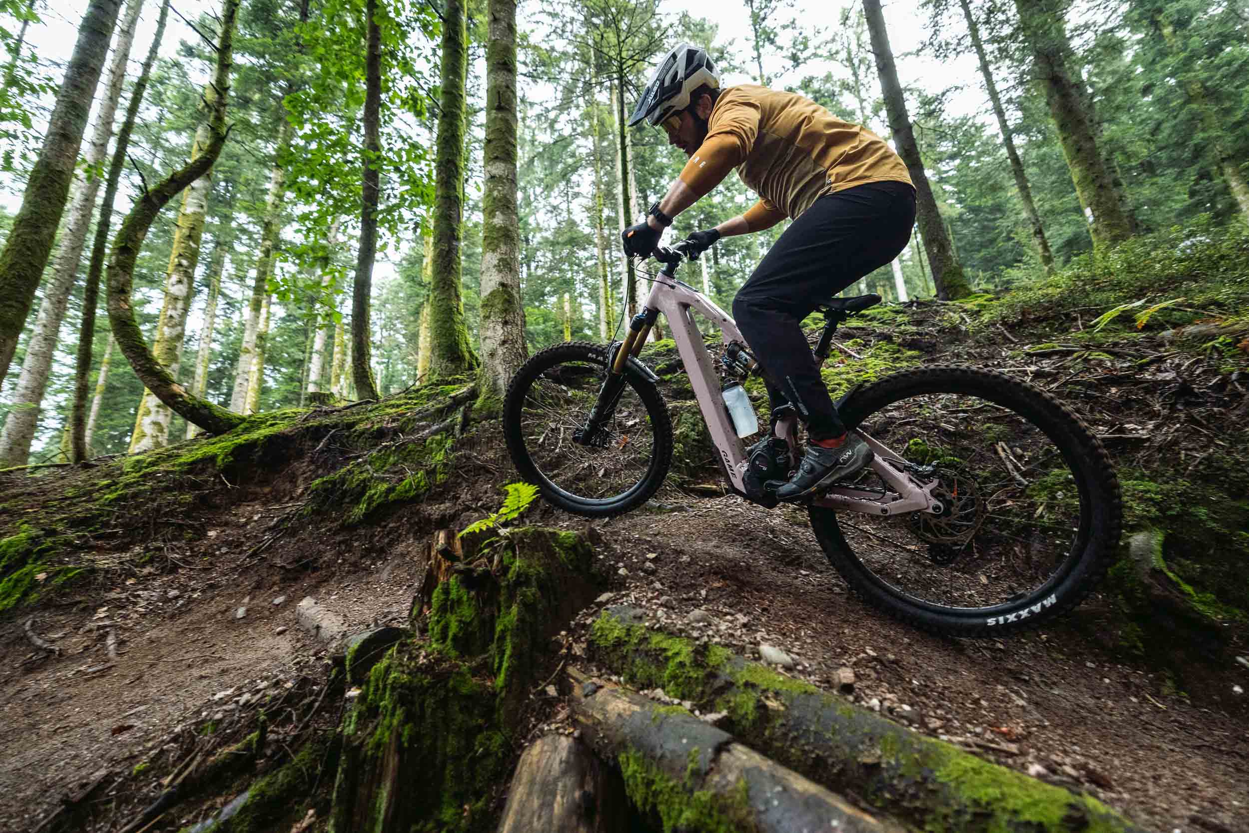 Test nieuw | Bosch Performance CX-motor 2025: stoere jongen met een ...