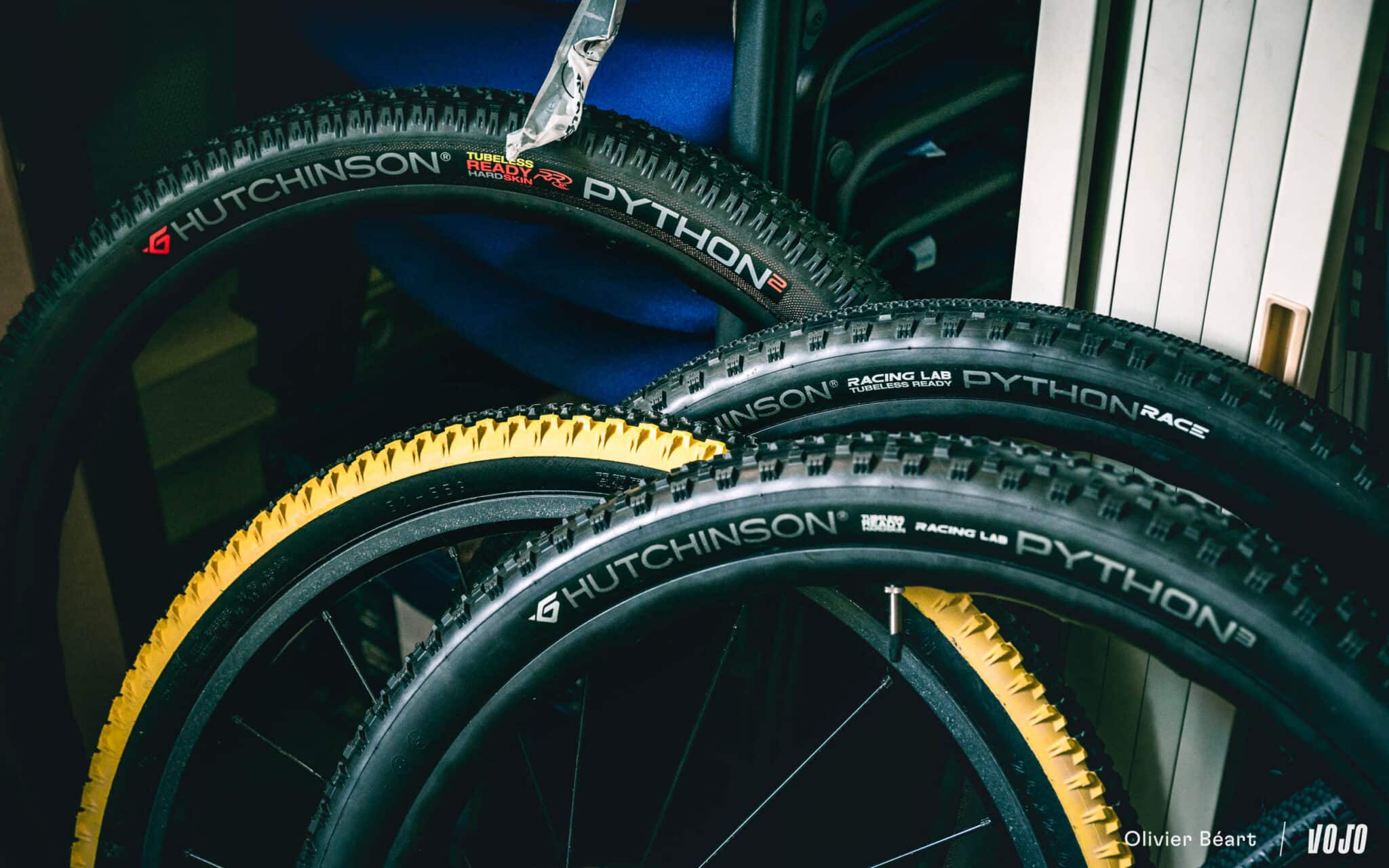 Découverte | Hutchinson Python : histoire d'un mythe bien vivant ⋆ Vojo