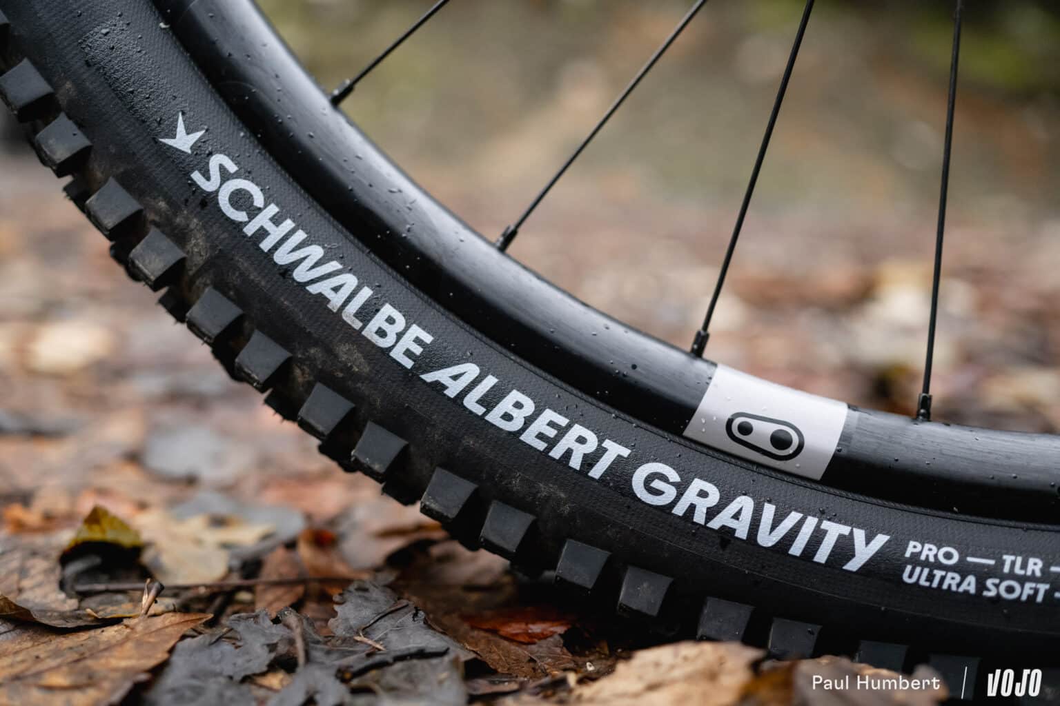 Test | Schwalbe Albert Radial : approche différente, résultat concluant ...