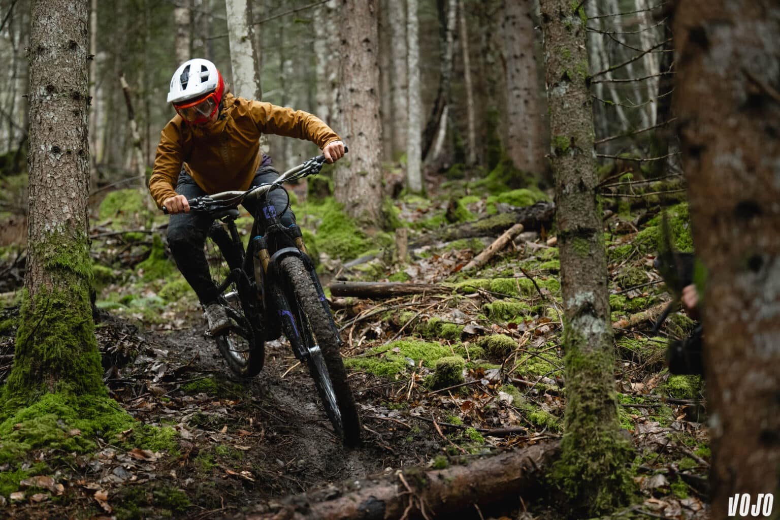 Nouveau Pivot Firebird 2025 | Dans les coulisses de Pivot Cycles ⋆ Vojo