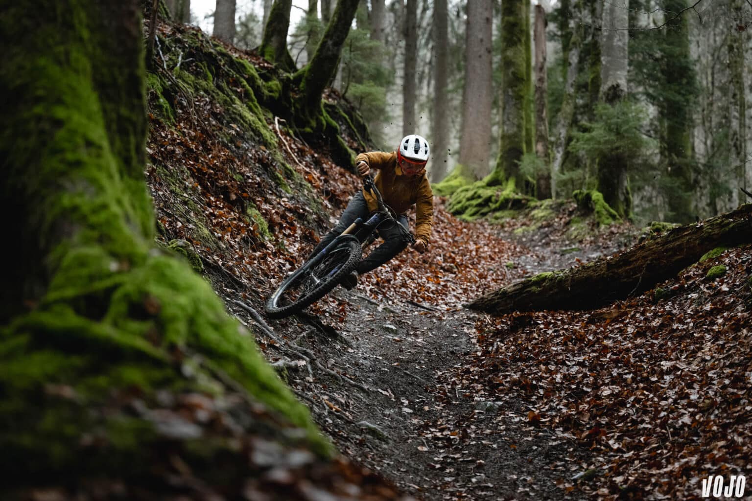 Nouveau Pivot Firebird 2025 | Dans les coulisses de Pivot Cycles ⋆ Vojo