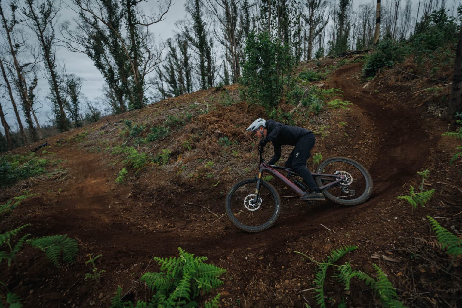 Test nouveauté | Specialized Levo gen 4 : plus puissant, plus malin ⋆ Vojo