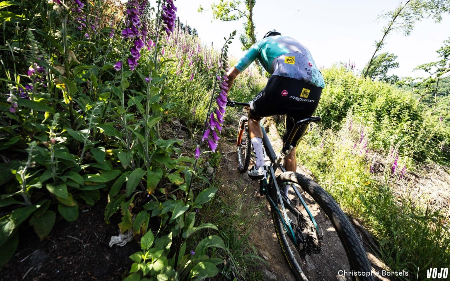 BAMS 2025 | Raid des Hautes Fagnes : le chaudron des champions ⋆ Vojo