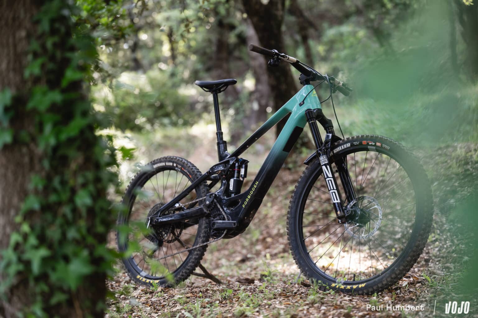 Test nouveauté VTTAE | Forbidden Druid Core : mariage heureux ⋆ Vojo