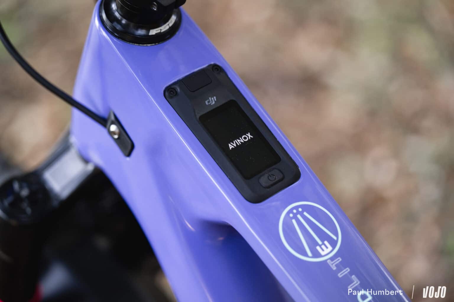 Test nouveauté VTTAE | Forbidden Druid Core : mariage heureux ⋆ Vojo