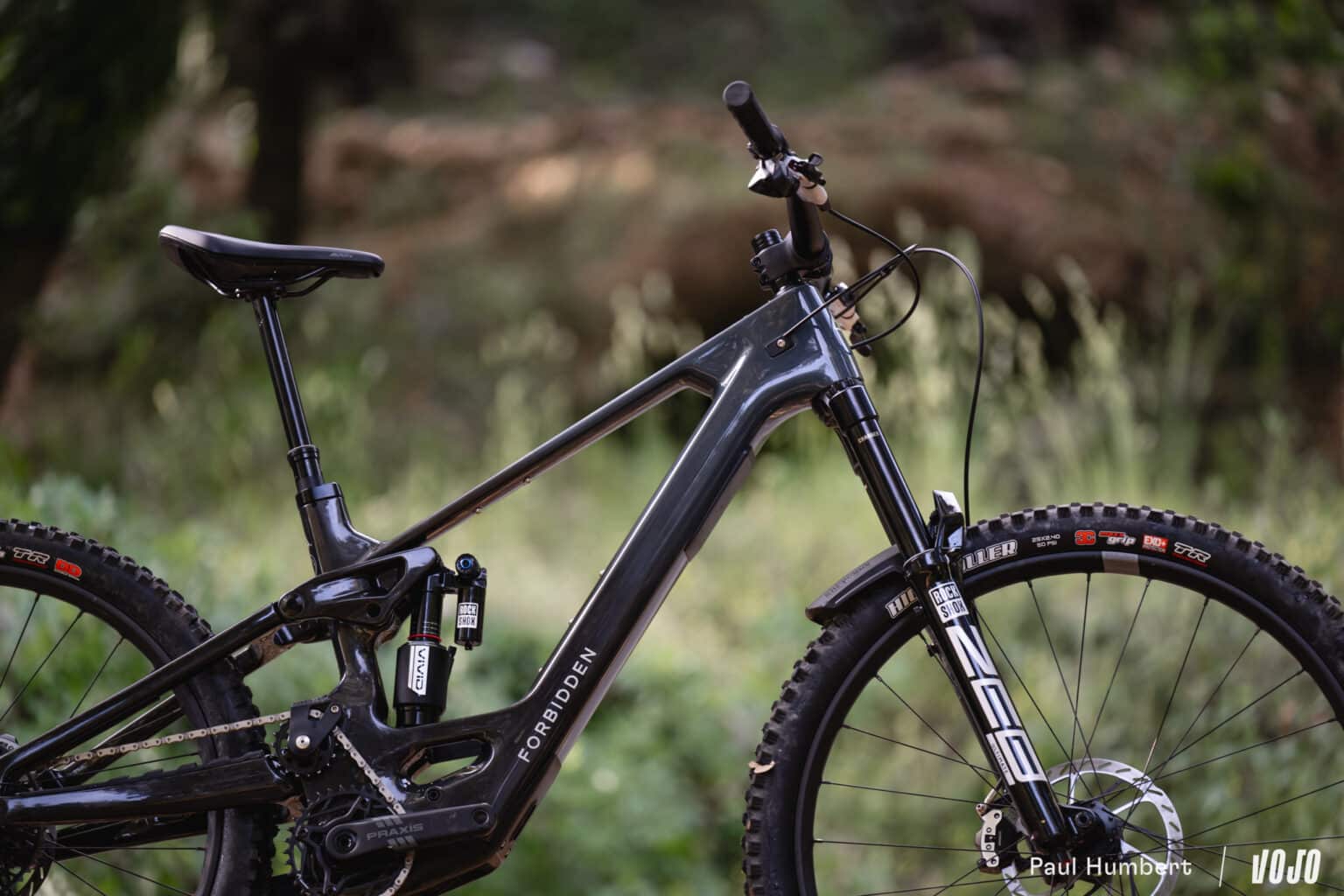 Test nouveauté VTTAE | Forbidden Druid Core : mariage heureux ⋆ Vojo